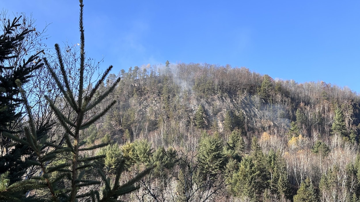 Le feu de forêt près de La Tuque atteint 8 hectares | Radio-Canada