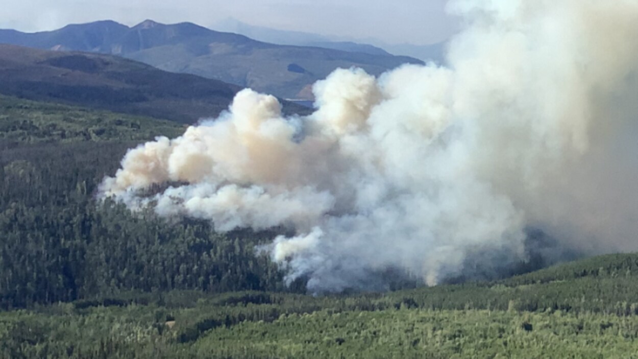 Un feu de forêt alimenté par le vent dans la région Peace | Radio-Canada.ca