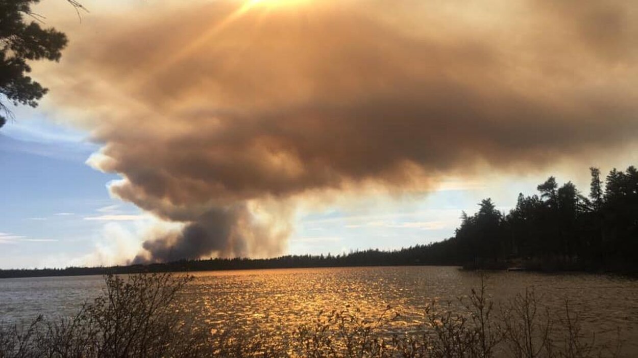 Un feu de forêt de 400 hectares au Nouveau-Brunswick | Radio-Canada.ca