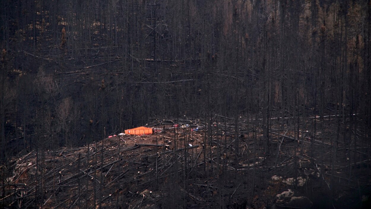 Le risque d’incendie en forêt est élevé en Moyenne et Basse-Côte-Nord ...