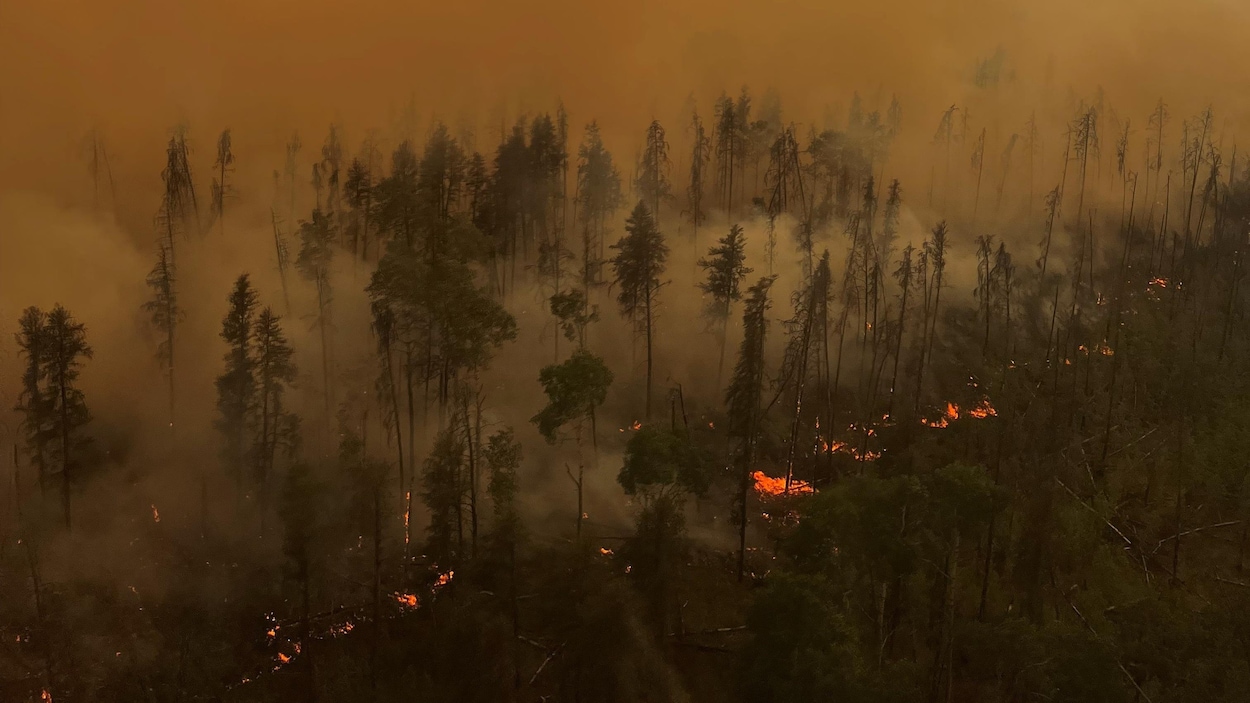 Un feu de forêt prend de l’ampleur dans le parc national Wood Buffalo ...