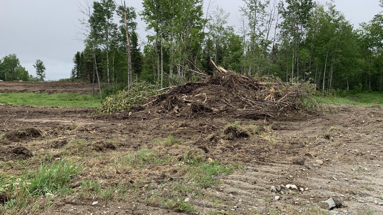 Les citoyens de Normétal retrouvent un village transformé | Info ...