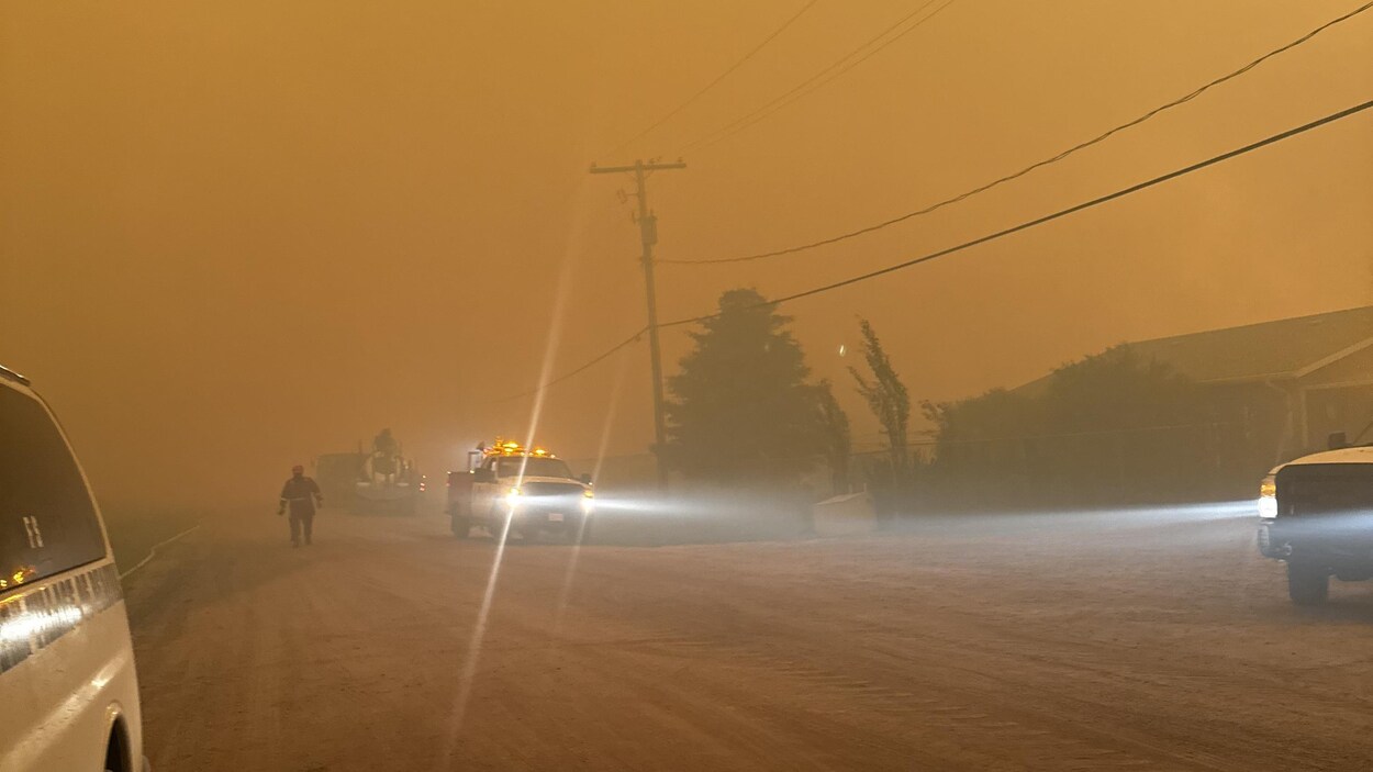 Des feux de forêt entourent Beauval et menacent le parc national de ...