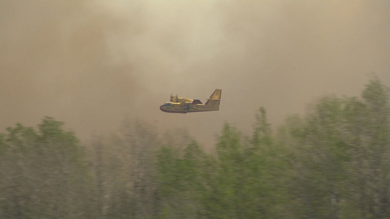 Feu de forêt près de Lac du Bonnet : environ 1000 évacués et deux morts ...