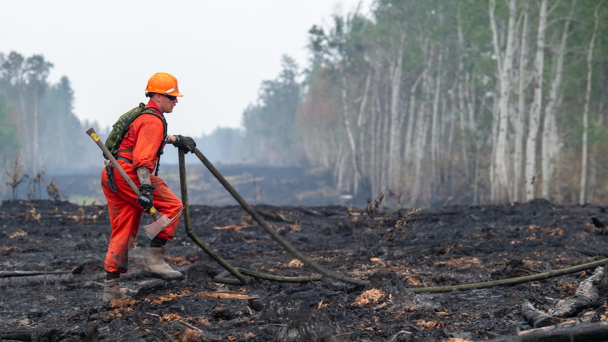 Des feux de forêt aux canicules : les 10 pires phénomènes météo de 2025 ...