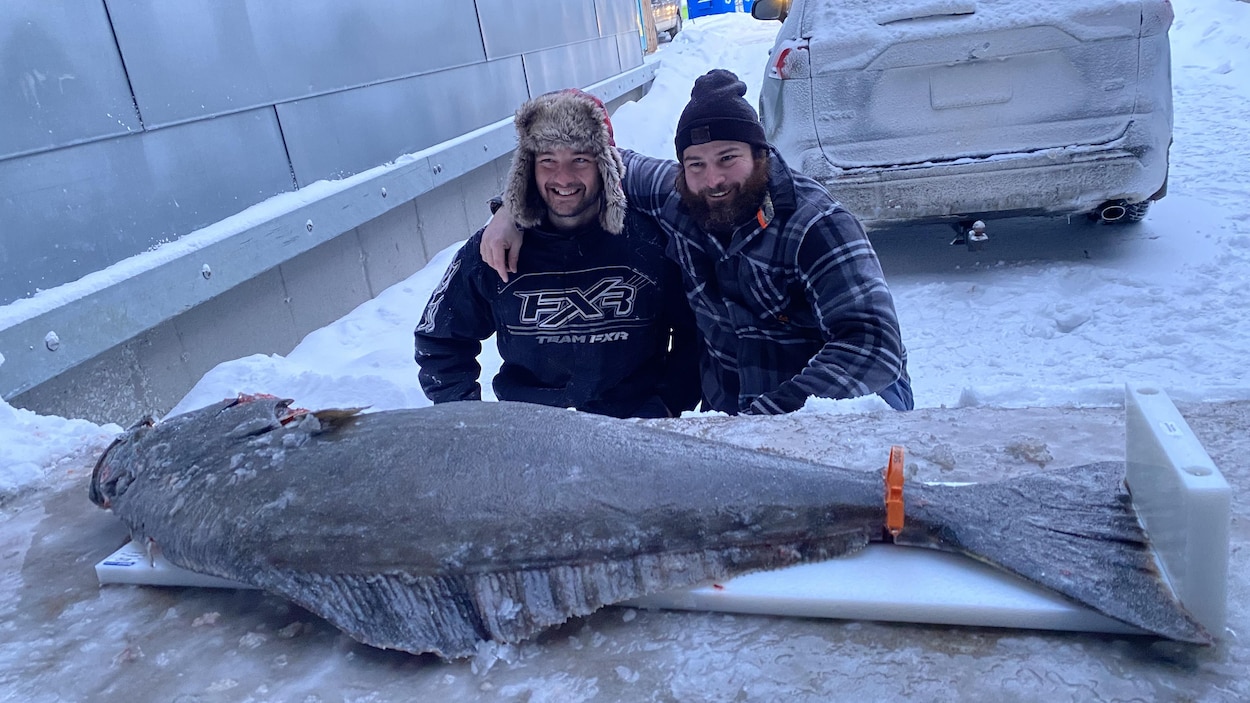 Deux flétans pêchés dans le fjord du Saguenay | Radio-Canada