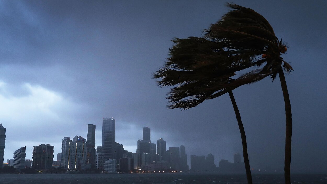 Plus de 170 000 foyers sans électricité en Floride à l'approche d'Irma ...