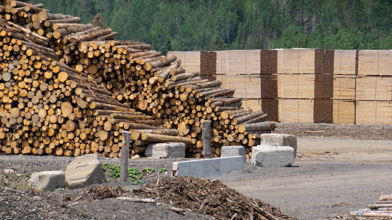 Le N.-B. va tenir compte du changement climatique dans la gestion des ...