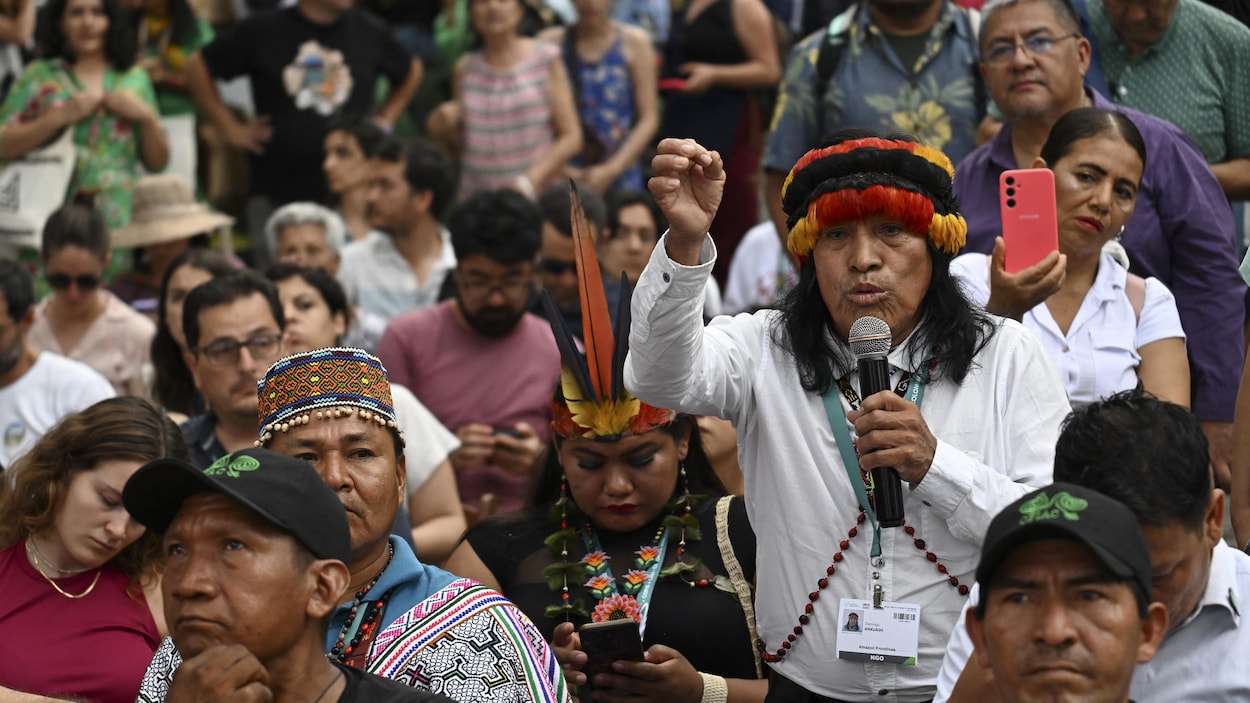 COP16 : Un G9 des peuples autochtones d’Amazonie pour défendre leur ...
