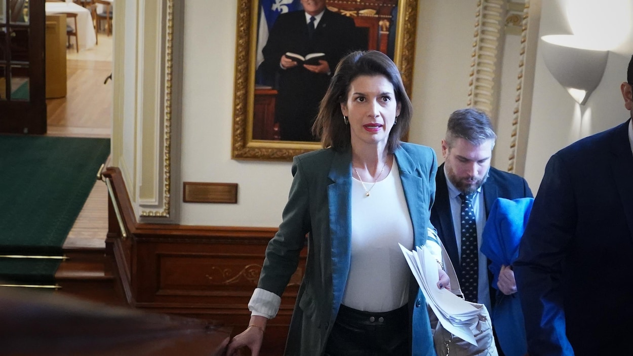 Électrification des autobus : le gouvernement garde ses cibles | Radio ...