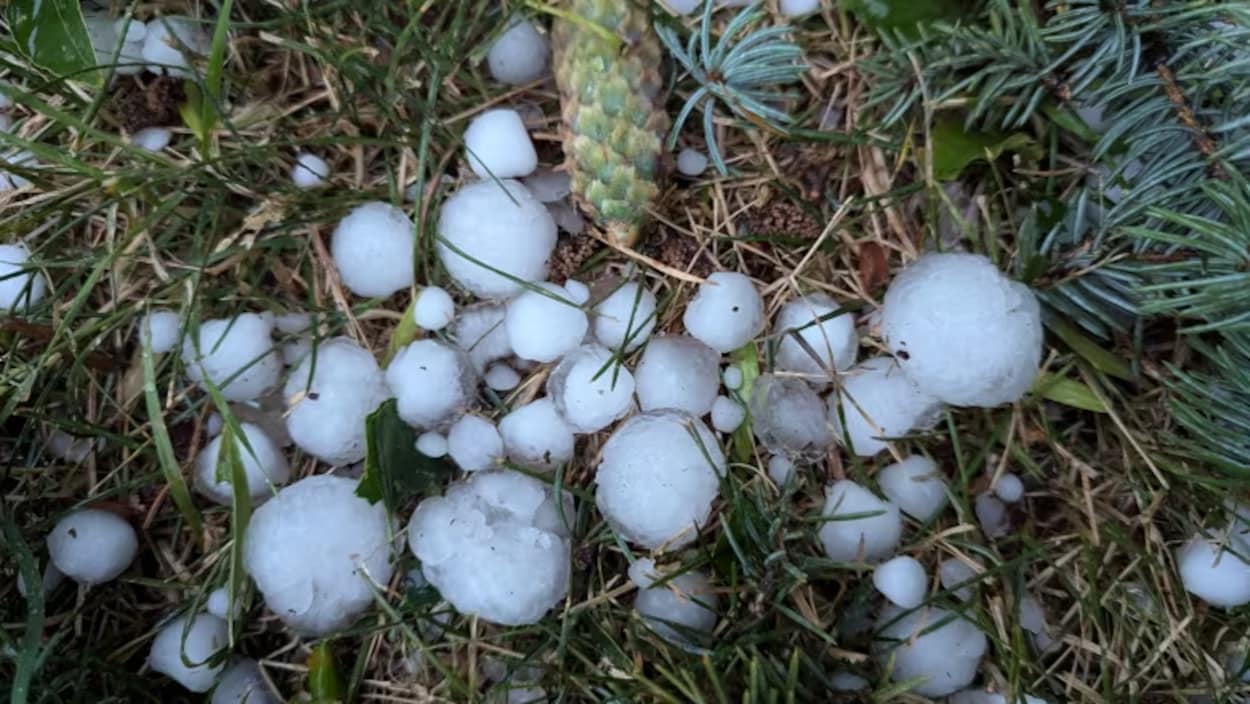 Des chutes de grêle endommagent une partie de l’aéroport de Calgary ...