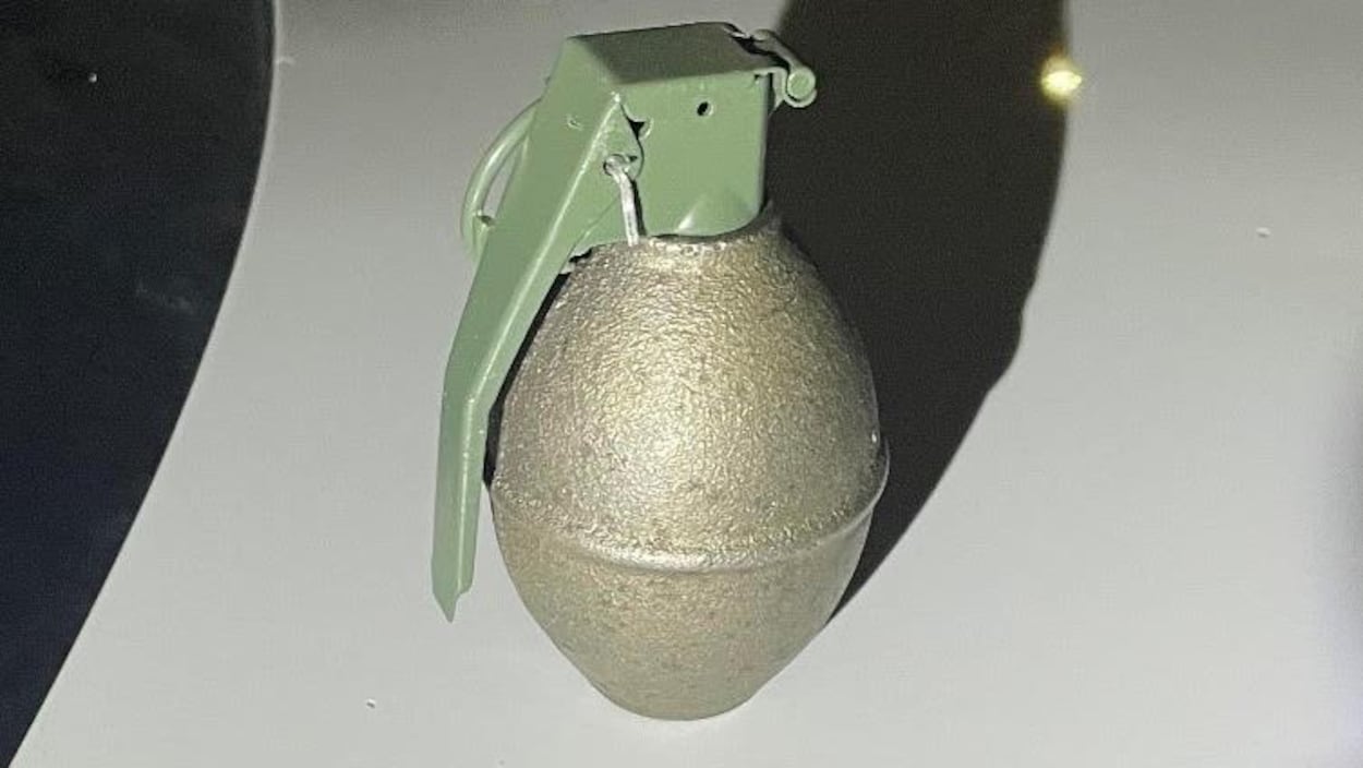 Un homme armé d’une grenade arrêté par la police de Winnipeg | Radio-Canada