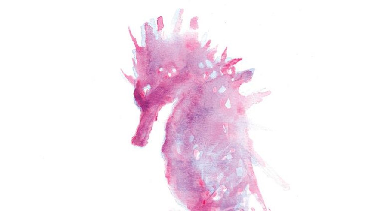 Avec son premier livre Hippocampe, Marc-André Charron explore l’univers ...