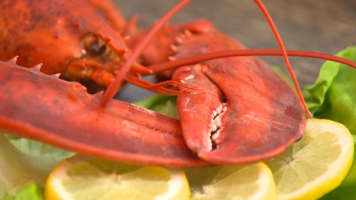 Un autre festival du homard projeté à l’Î.- P.- É. | Radio-Canada.ca