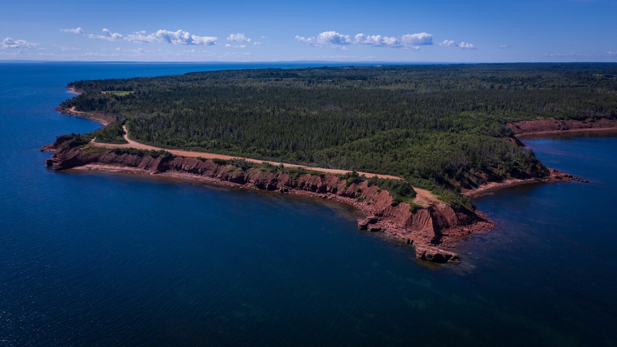 Le Sommet mondial des îles durables 2024 débute à l’Î.-P.-É. | Radio-Canada