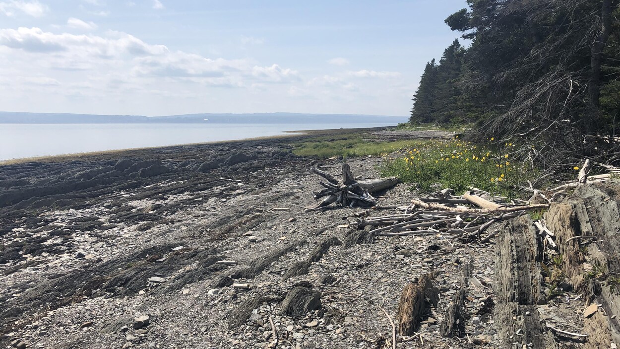 Rimouski, une destination touristique à part entière | Radio-Canada.ca