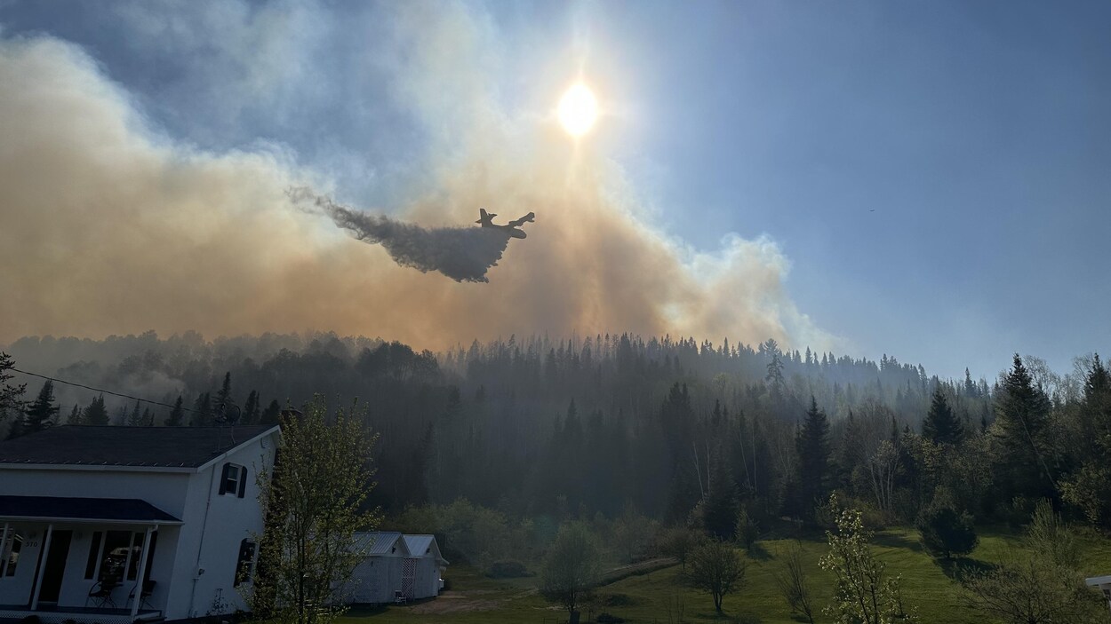 Le feu de forêt de Ferland-et-Boilleau est maîtrisé | Radio-Canada