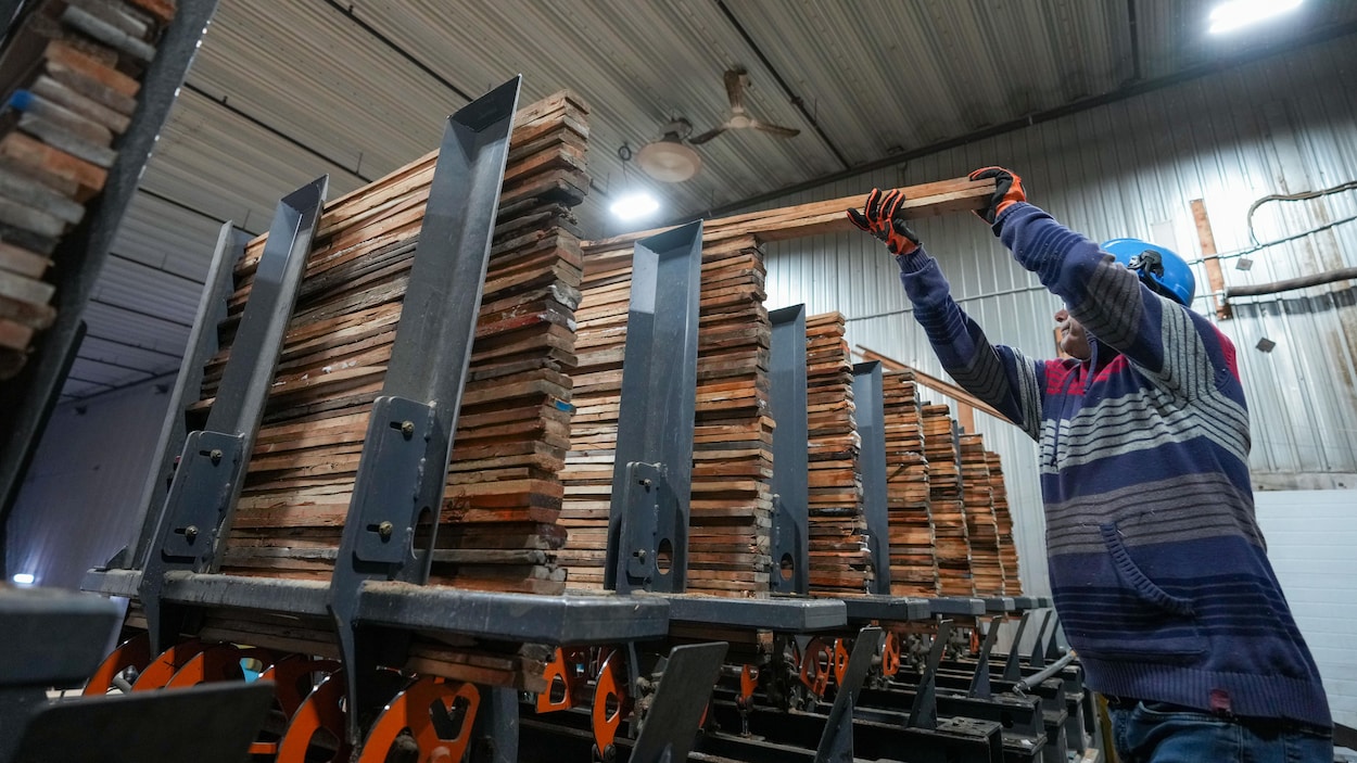 Le taux de chômage a augmenté à 6,8 % au Canada en décembre | Radio-Canada