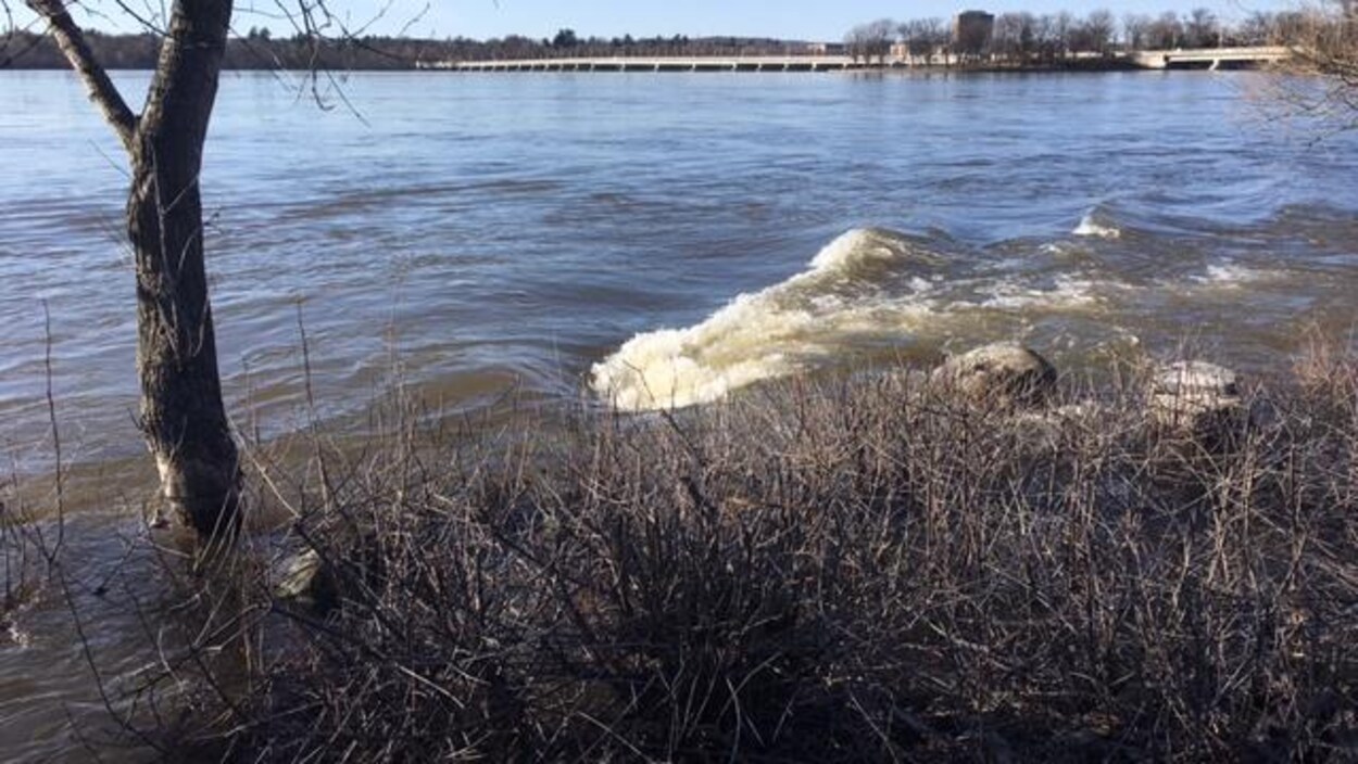 Niveaux records de la rivière des Outaouais | Radio-Canada.ca