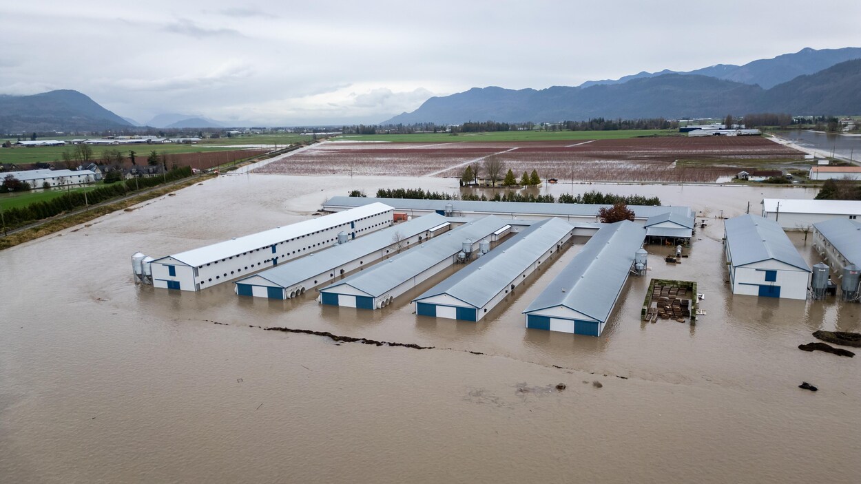 Inondations dans la vallée du Fraser : le coût des dommages assurés ...