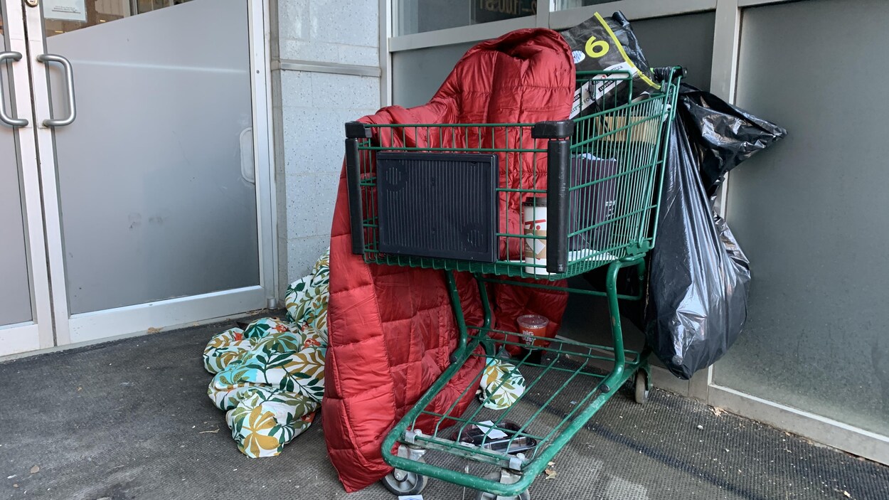 La violence des gangs menace la sécurité des sans-abri d’Edmonton ...