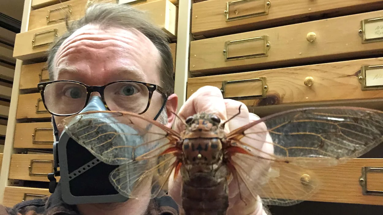 La collection d’insectes de l’Université du Manitoba comme outil pour ...