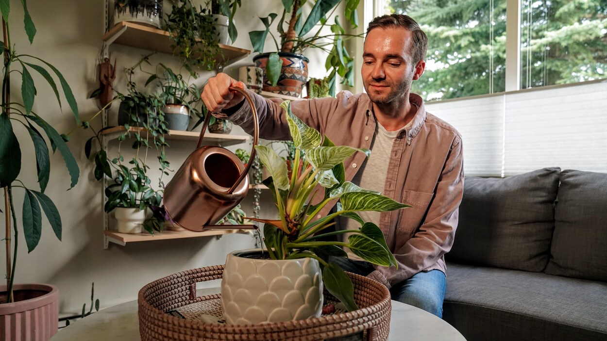 Ces huttérites homosexuels qui fuient leur foyer pour être enfin eux ...