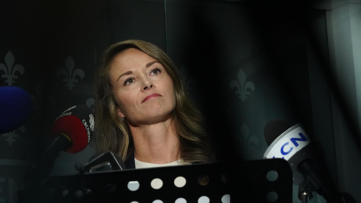 Joëlle Boutin a proposé un « accès privilégié » à Pierre Fitzgibbon en ...