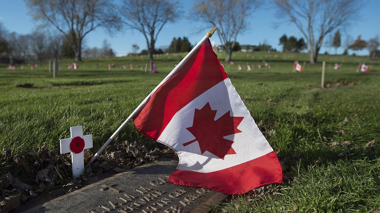 Jour du Souvenir : marqués à vie par leurs expériences, deux vétérans ...