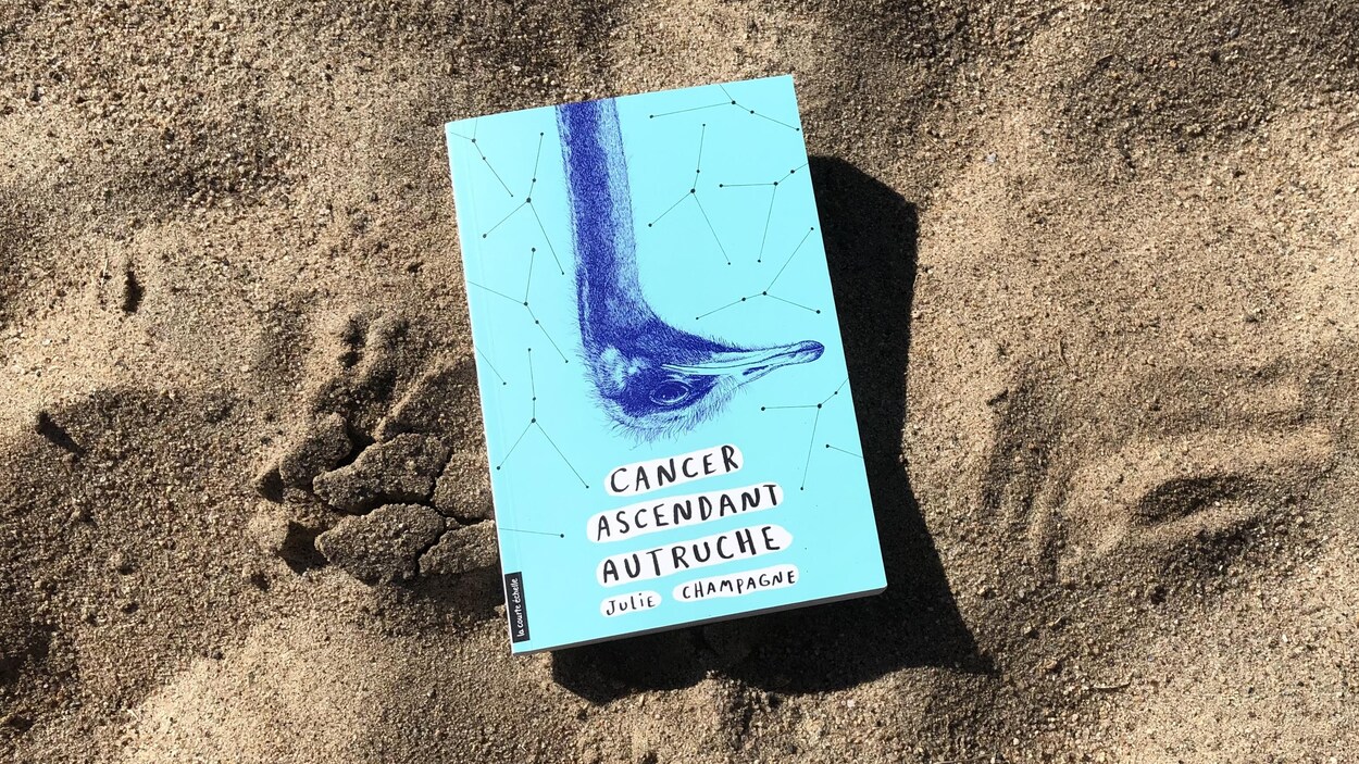 Huit livres jeunesse célébrés aux Prix des libraires du Québec | Radio ...