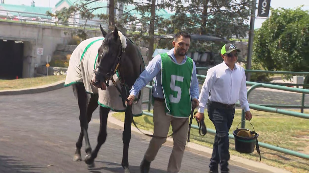 Père et fils s’affrontent pour la première fois dans l’histoire du King ...
