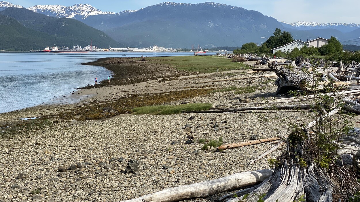 Kitimat, au cœur de la ruée vers le gaz naturel liquéfié | Radio-Canada