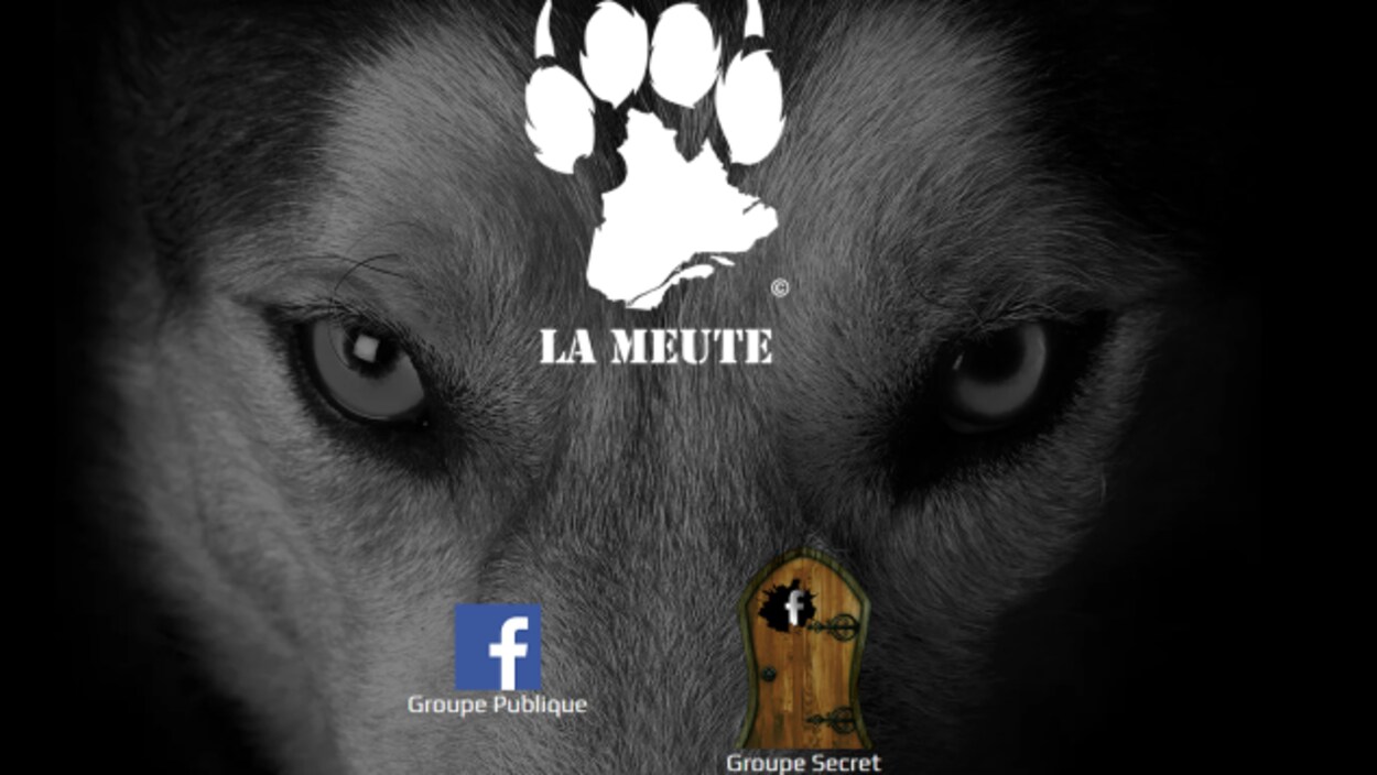 Des dirigeants de La Meute claquent la porte | ICI.Radio-Canada.ca