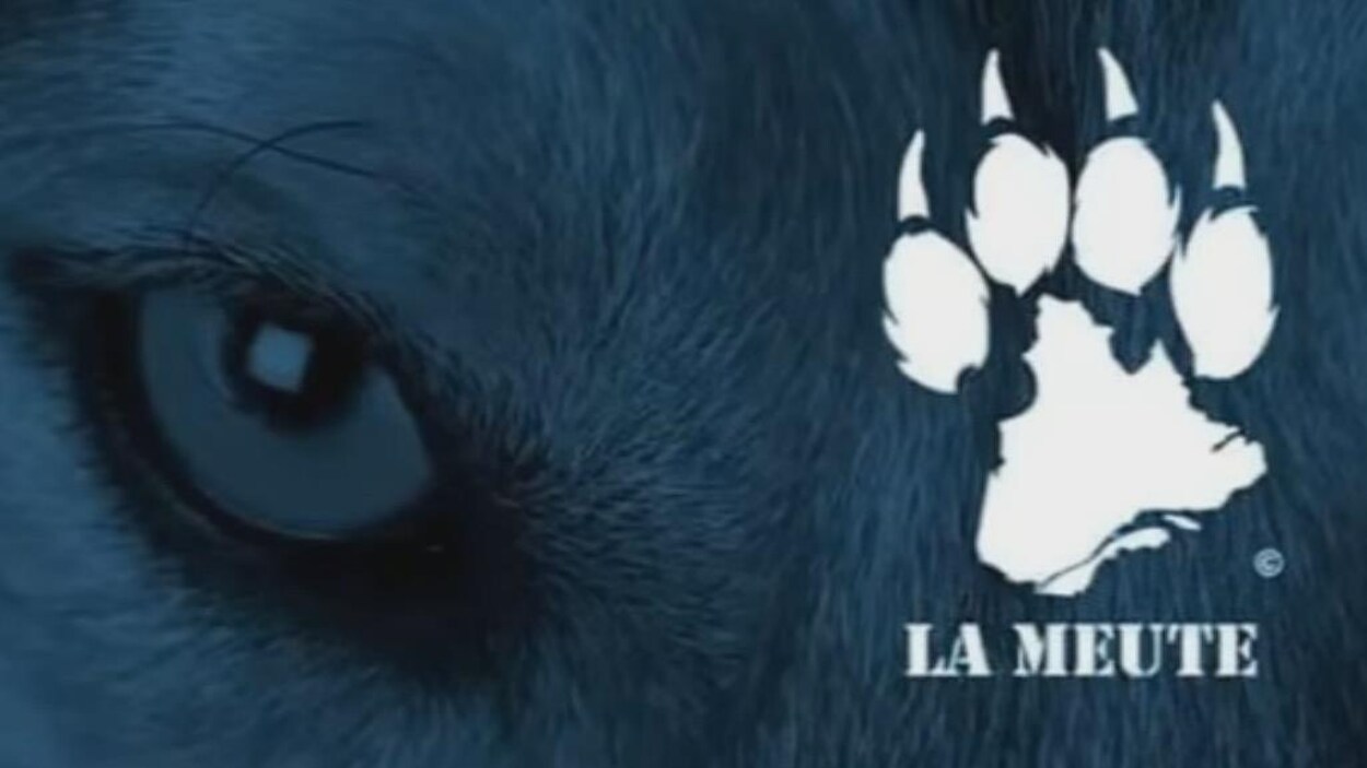 Une marche associée à l’extrême droite soulève des craintes à Saguenay ...