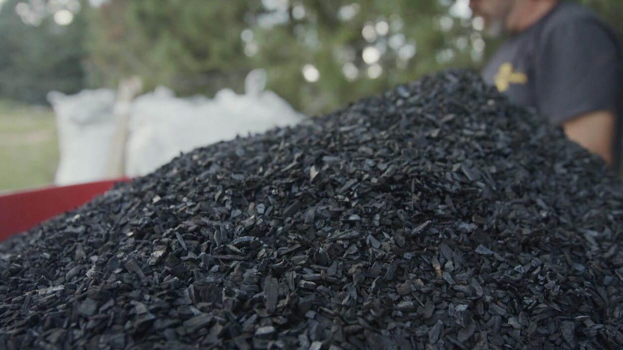 Une usine de biochar à Port-Cartier créera 75 nouveaux emplois | Radio ...