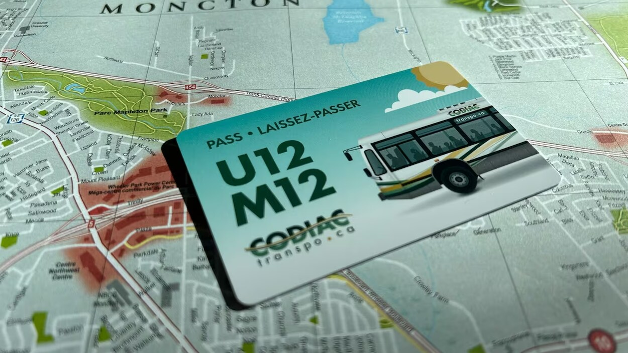 Le transport en commun gratuit pour les enfants à Moncton | Radio-Canada