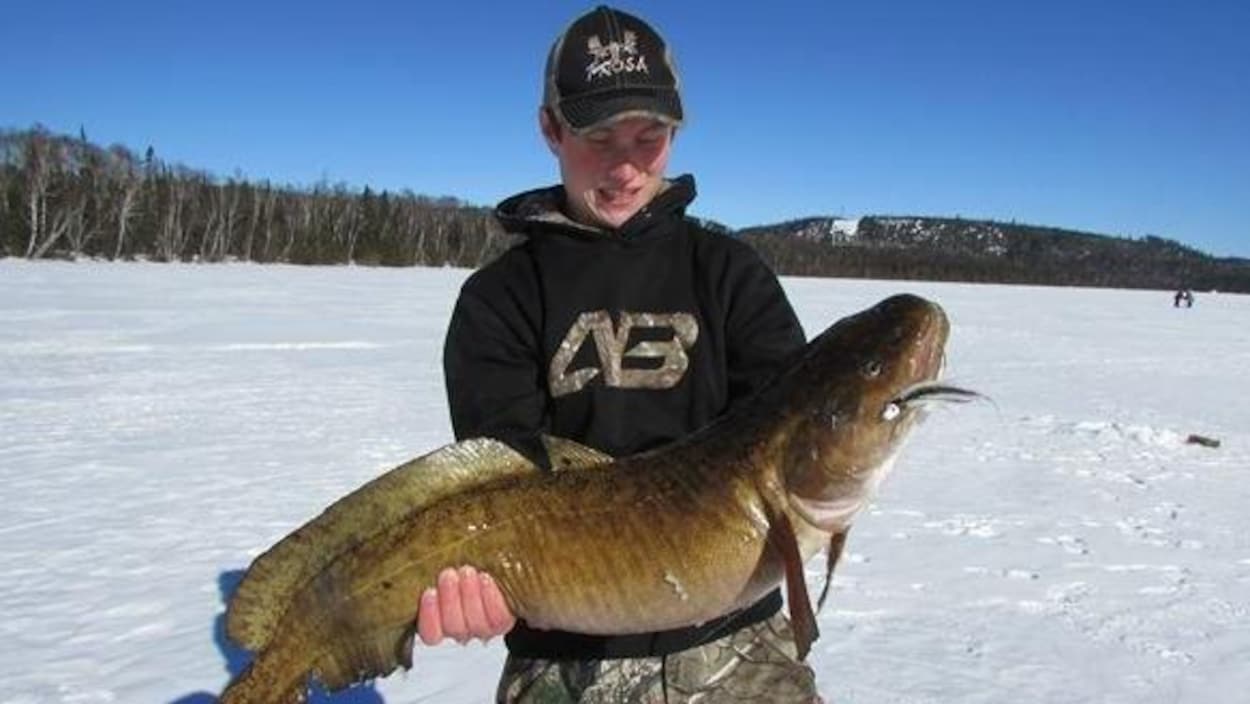 Record : un adolescent de Thunder Bay a pêché la plus grosse lotte de l ...