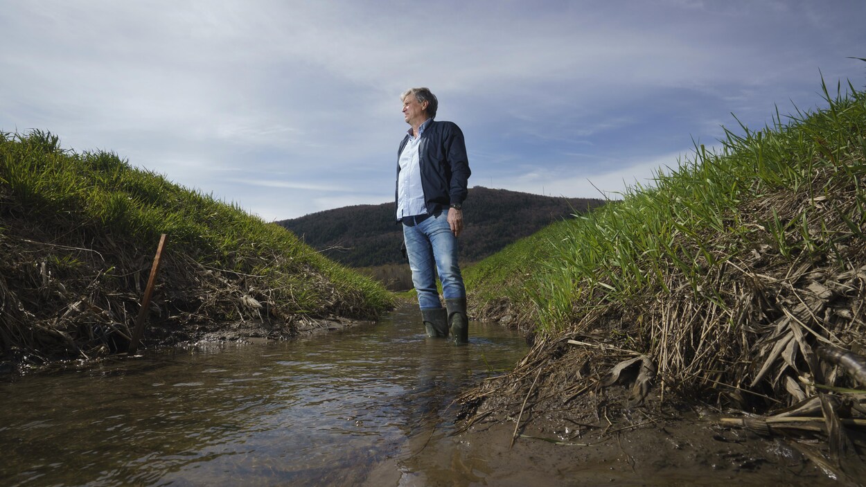 Le Protecteur du citoyen donne raison à Louis Robert sur le fond de l ...