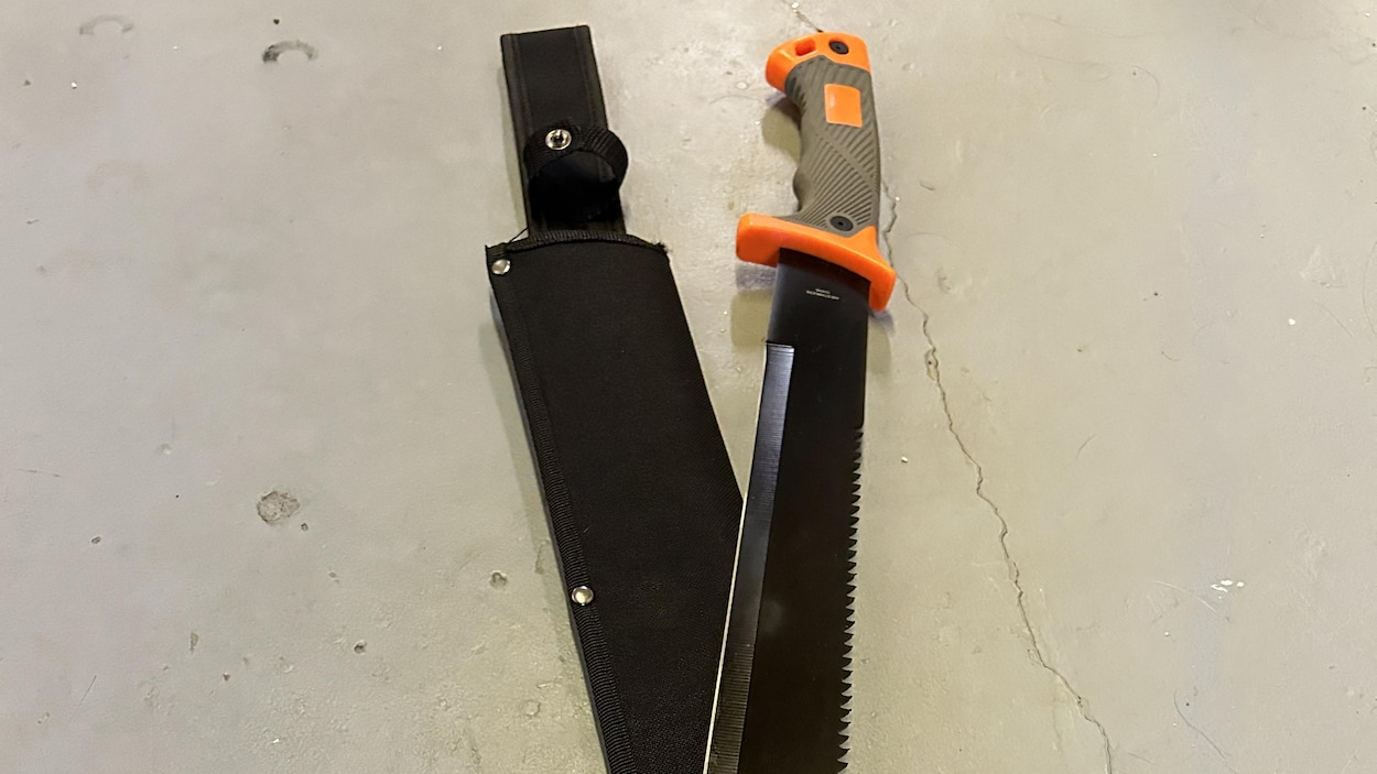 Réguler la vente de machettes en ligne | En bref | Radio-Canada
