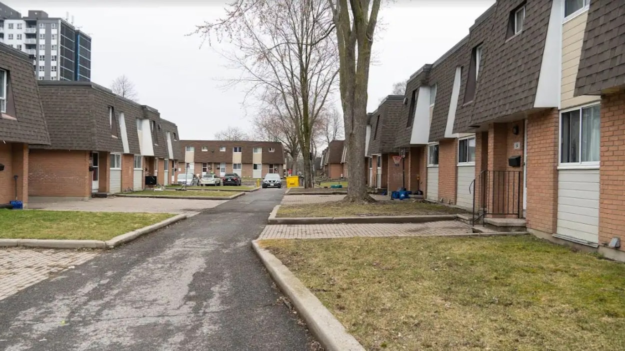 La Société de logement communautaire d’Ottawa a besoin d’aide, selon ...