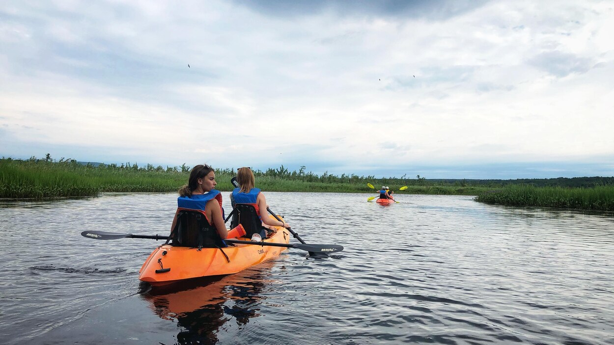 Un succès « préoccupant » pour le marais de la Rivière-aux-Cerises à ...