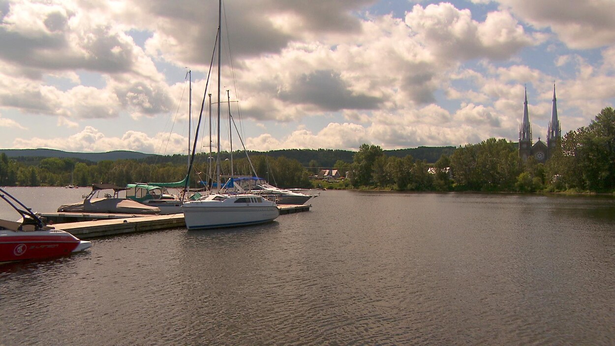 Le lac Matapédia à la merci d'une plante ultra-envahissante | Radio ...
