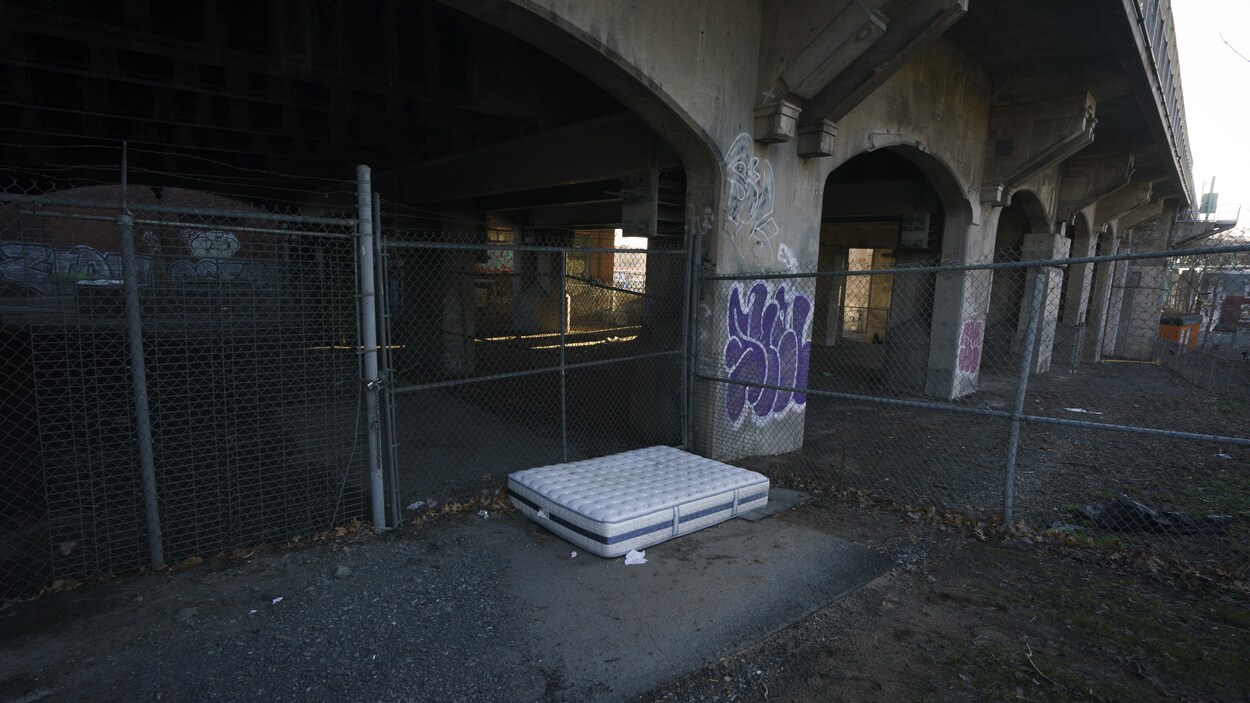 L’itinérance menace les migrants du chemin Roxham | Radio-Canada