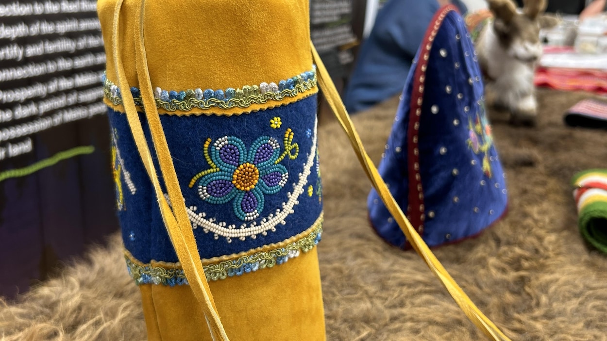 Une artiste métisse de Sainte-Geneviève transmet sa culture à travers ...