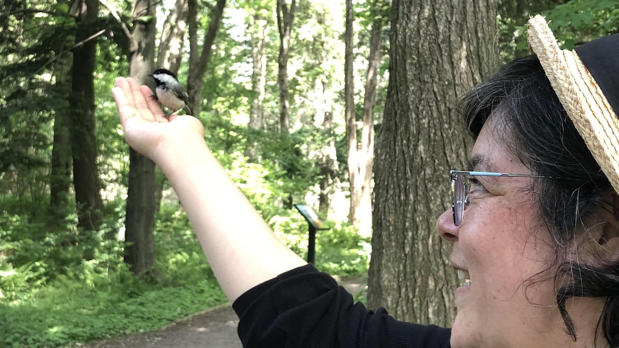 Un bain de forêt avec Melissa Mollen Dupuis | Radio-Canada