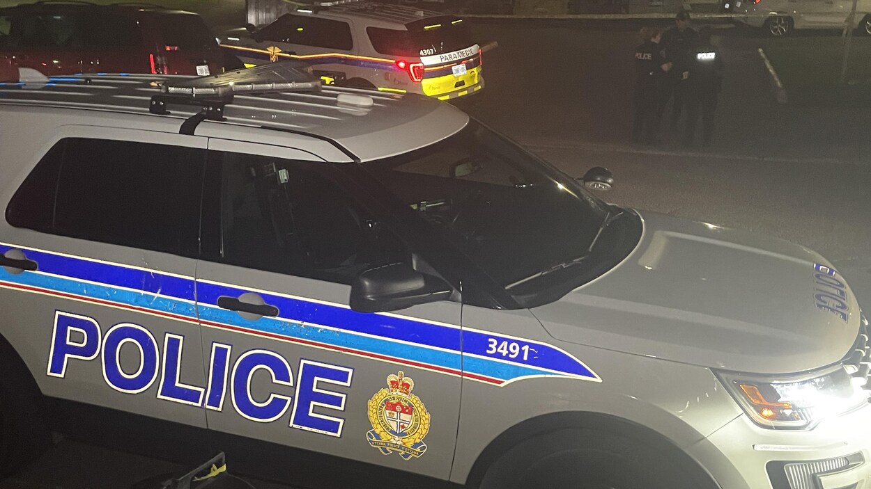 Homicide Sur Lavenue Caldwell à Ottawa La Police A Arrêté Le Suspect