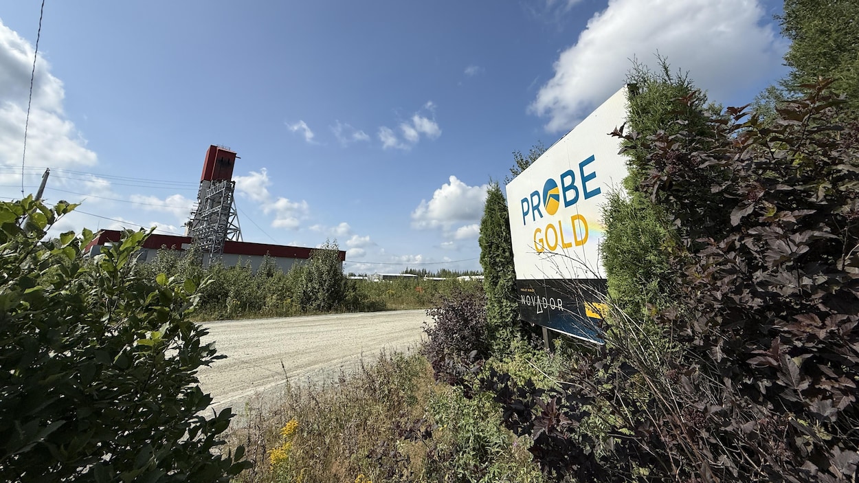 Probe Gold passe aux mains d’intérêts mexicains | Radio-Canada