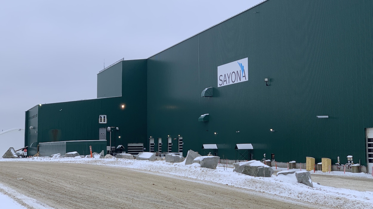 Sayona Mining et Piedmont Lithium veulent fusionner leurs activités ...