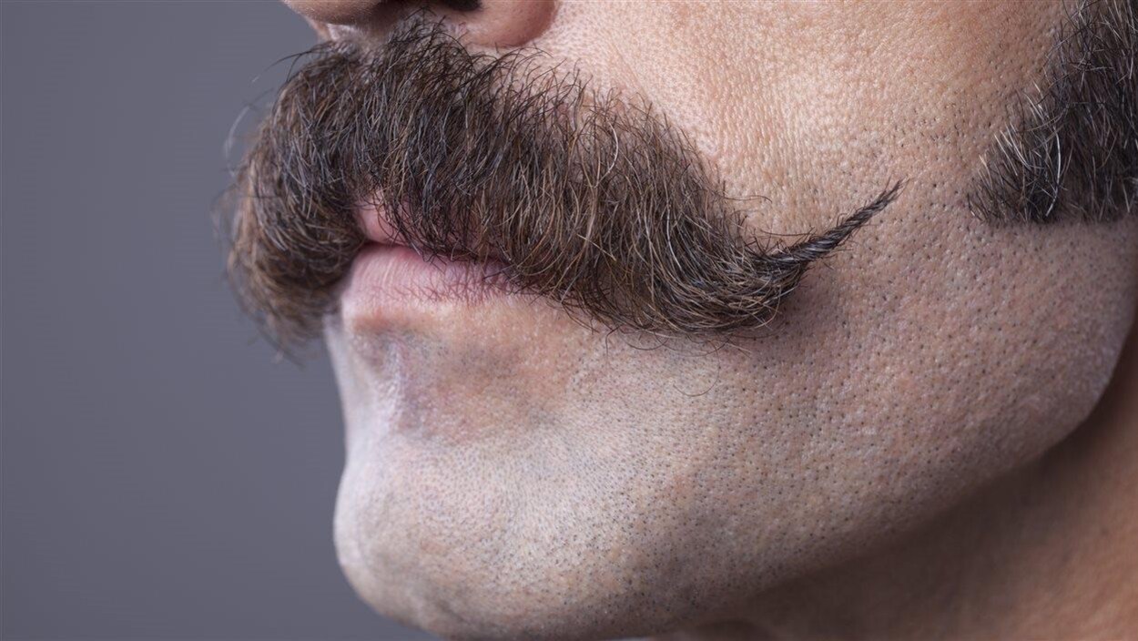 Movember : une moustache pour la bonne cause | Radio-Canada