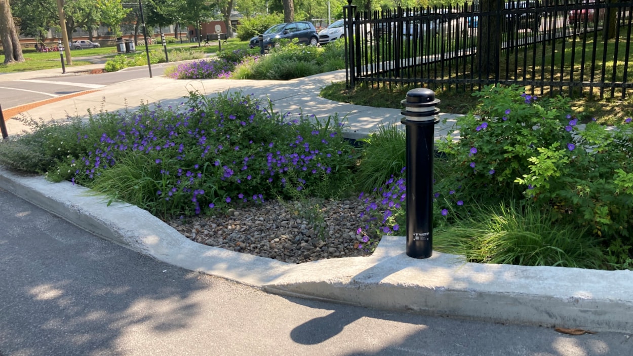 Adaptation climatique : 30 nouveaux parcs « éponges » à Montréal | Info ...